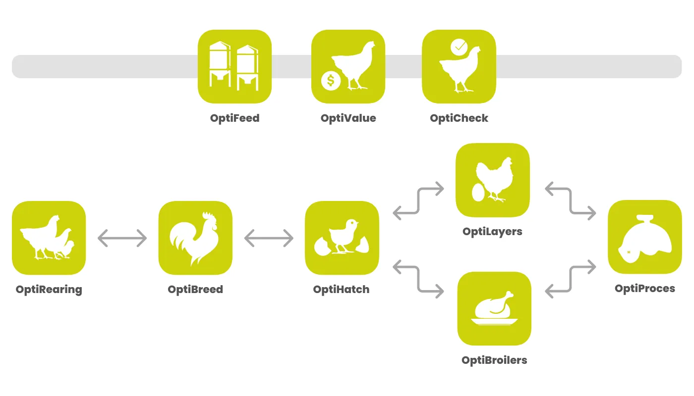 Our Poultry Software Solutions | PoultryPlan